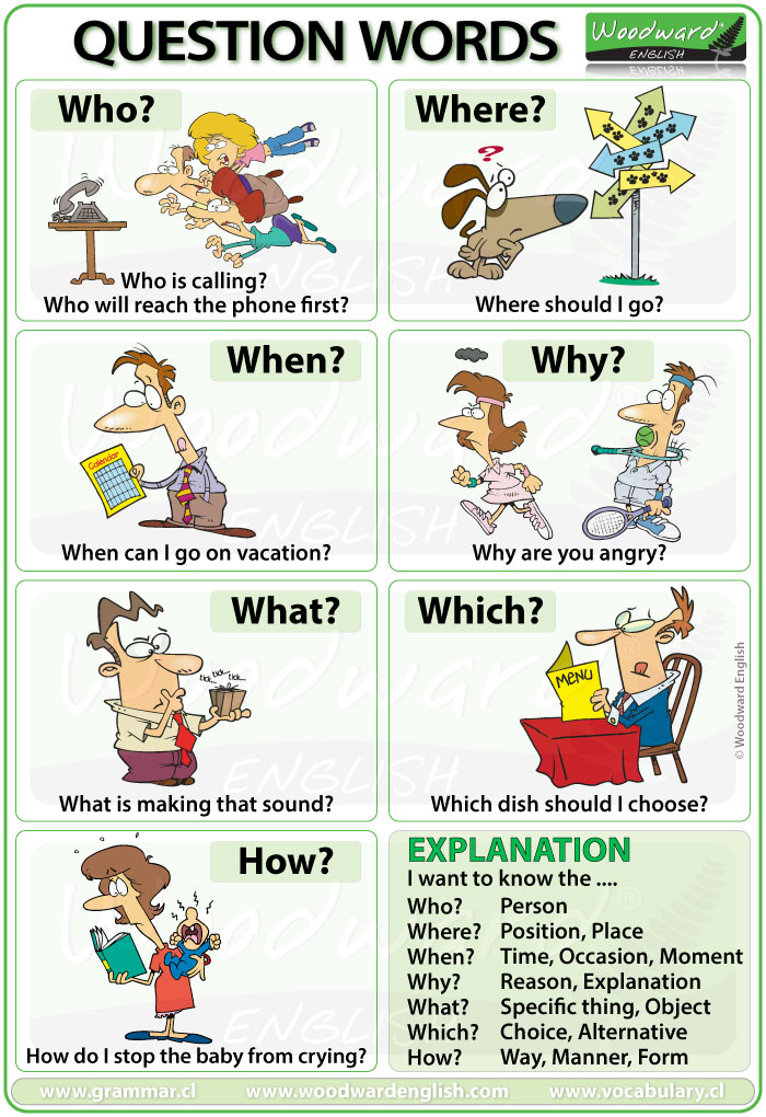 Question Words In English Who When What Why Which Where How Question Words In English Who When What Why Which Where How